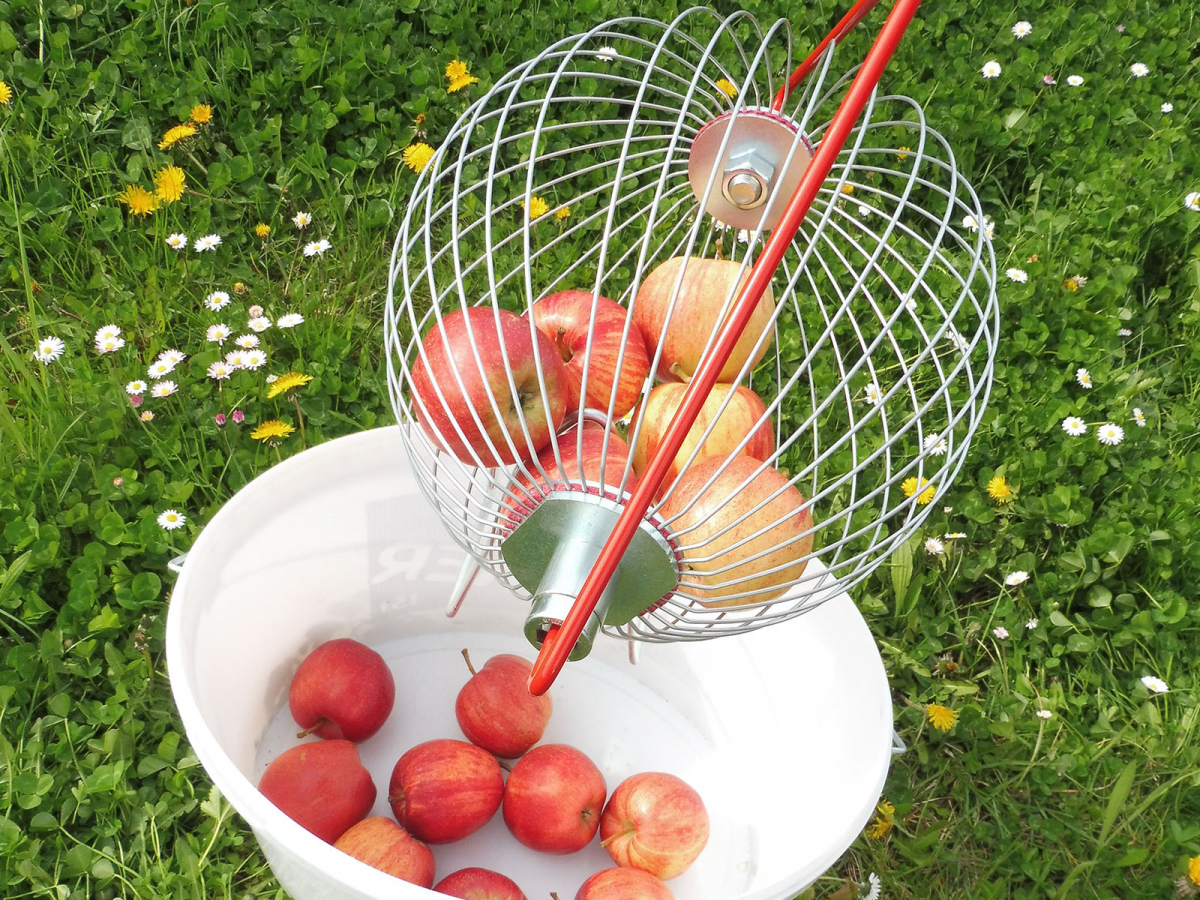 Apfelerntemaschinen - Feucht Obsttechnik