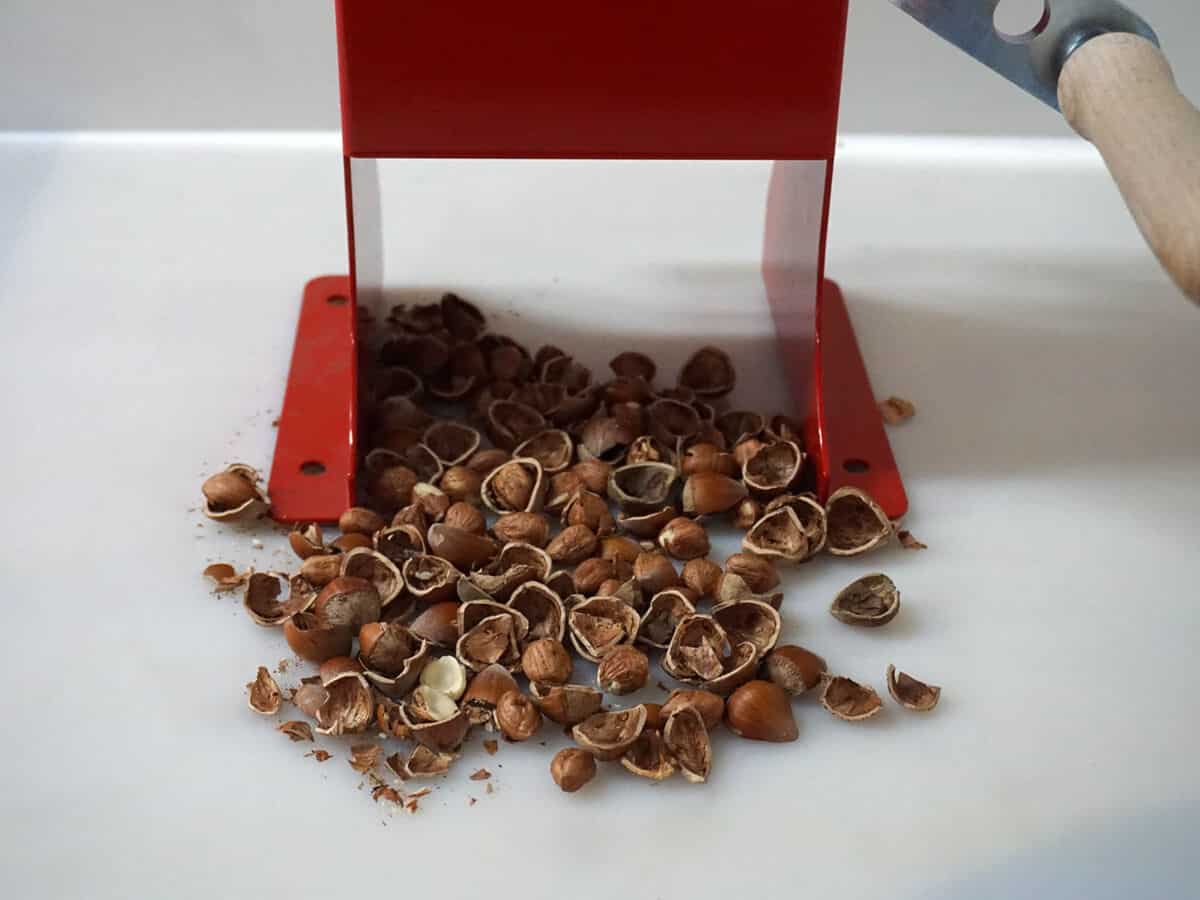 Hazelnut calibration and cracking – Feucht Obsttechnik