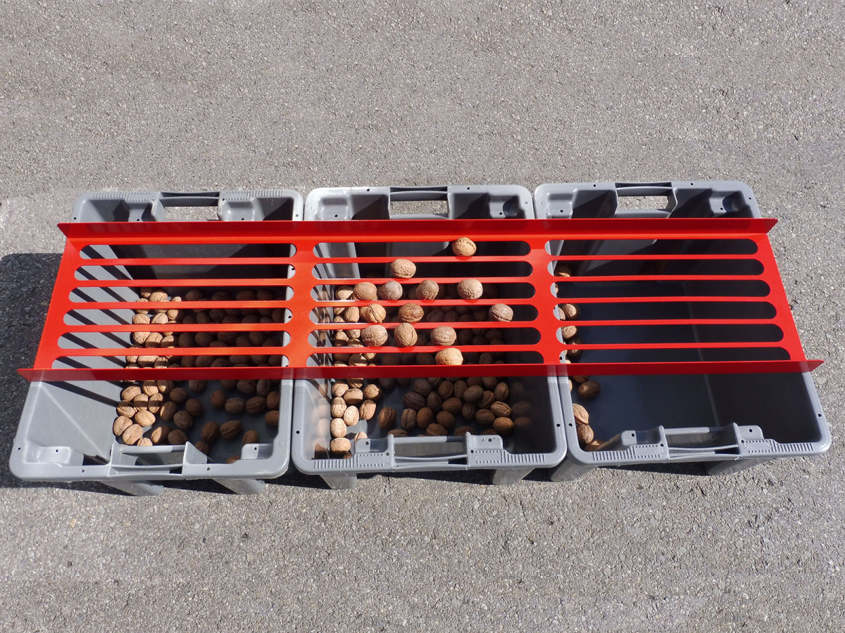 Hazelnut calibration and cracking – Feucht Obsttechnik