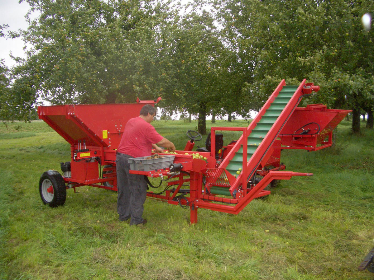 Fruit sorting – Feucht Obsttechnik